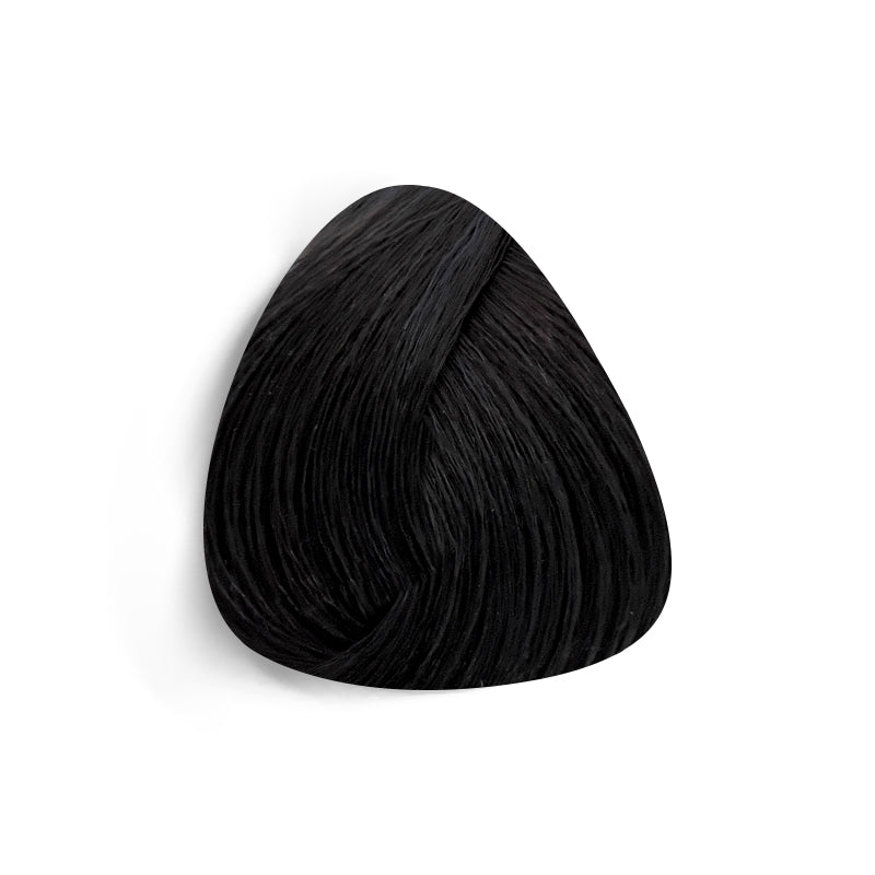 INTENSE ASH SERIES – Créé