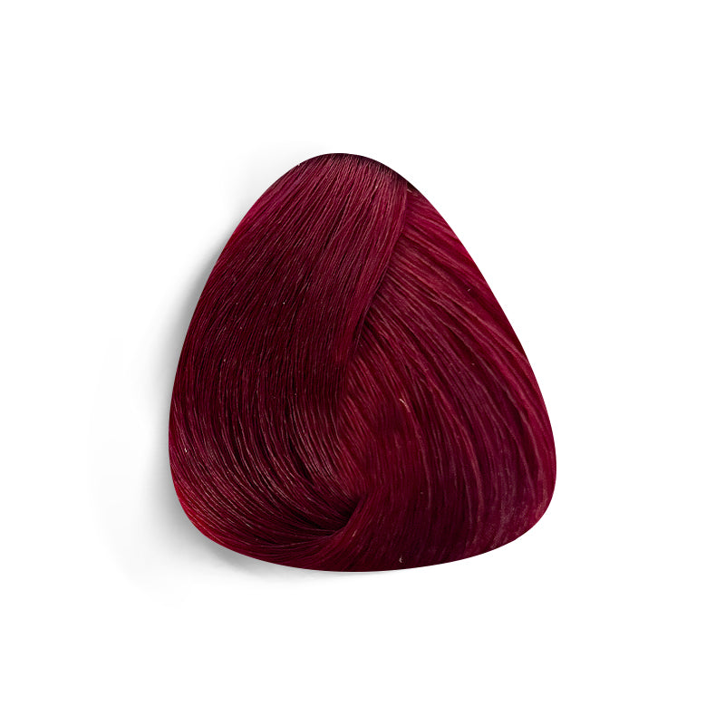 EXTRA RED – Créé